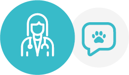 Vetchat - chat with a vet online