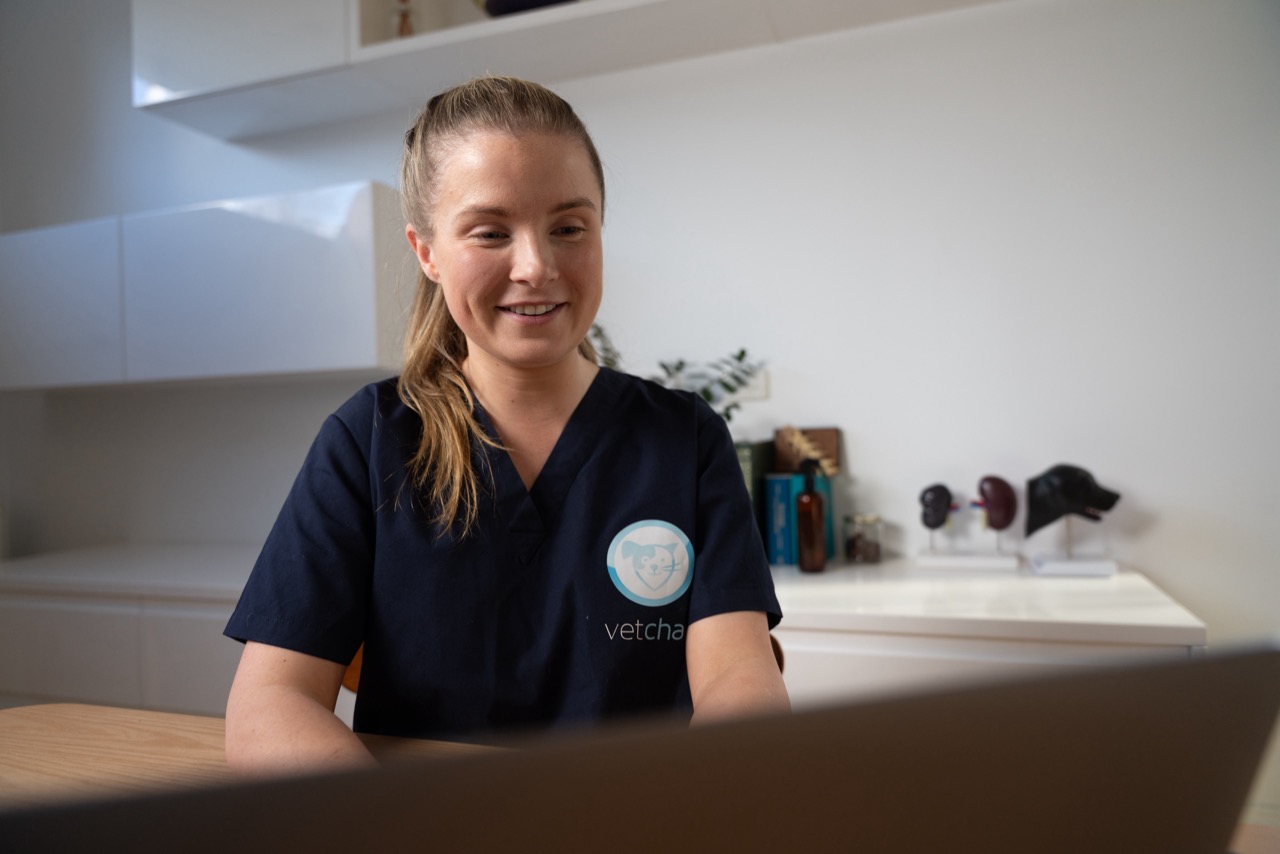 VetChat - Chat with a Vet Online 24/7 - Speak to a Vet Now