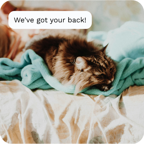 VetChat - Chat with a Vet Online 24/7 - Speak to a Vet Now