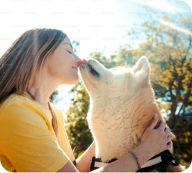 VetChat - Chat with a Vet Online 24/7 - Speak to a Vet Now