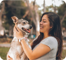 VetChat - Chat with a Vet Online 24/7 - Speak to a Vet Now