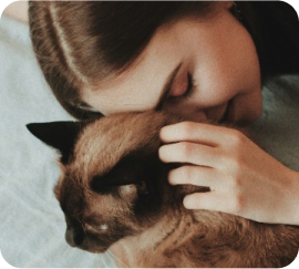 VetChat - Chat with a Vet Online 24/7 - Speak to a Vet Now