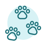 VetChat - Chat with a Vet Online 24/7 - Speak to a Vet Now