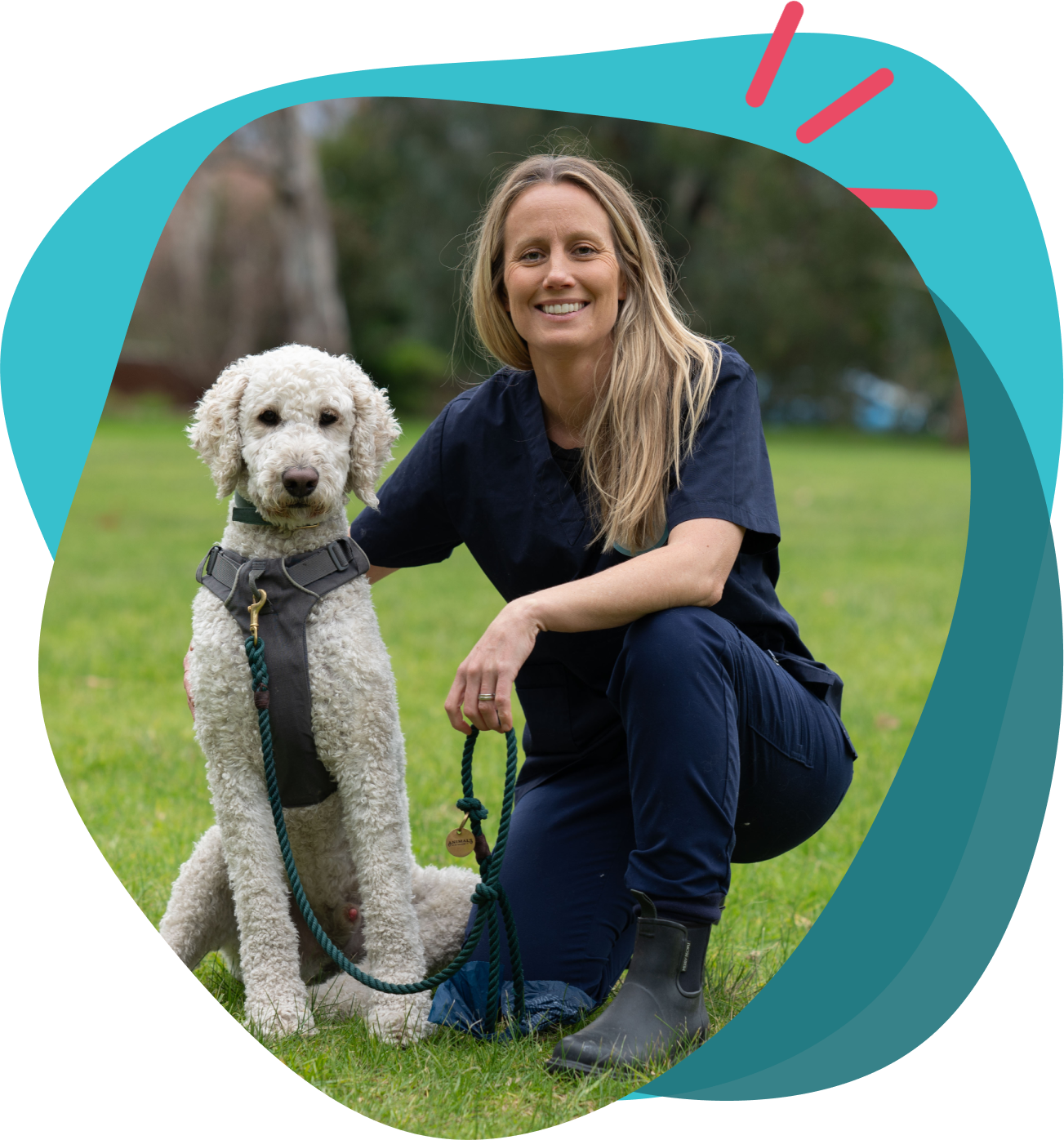 VetChat - Chat with a Vet Online 24/7 - Speak to a Vet Now