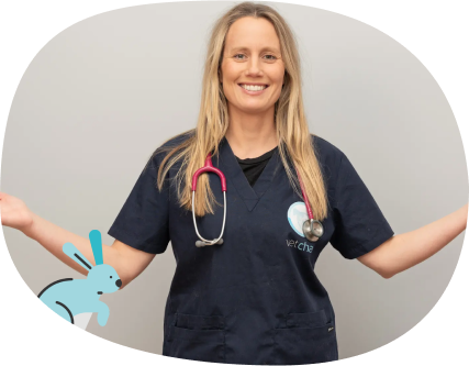 VetChat - Chat with a Vet Online 24/7 - Speak to a Vet Now