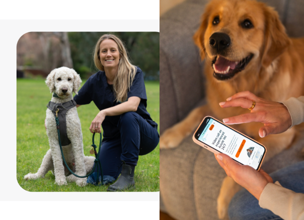 VetChat - Chat with a Vet Online 24/7 - Speak to a Vet Now