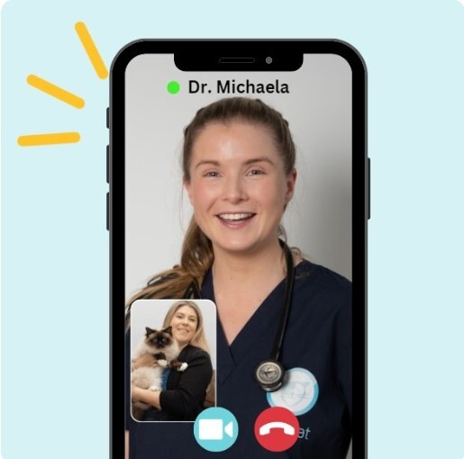 VetChat - Chat with a Vet Online 24/7 - Speak to a Vet Now